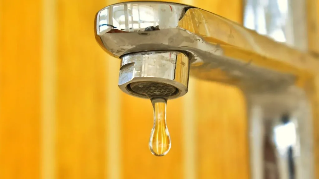 Alger : SEAAL annonce une coupure d’eau dans 12 communes ce dimanche ...