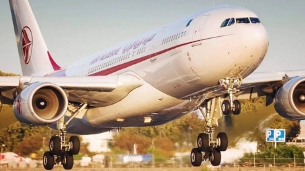 Montréal - Alger : Air Algérie monte à 12 vols par semaine pour l’été ...